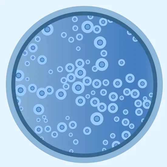 Cryptococcus Neoformans Detection Pcr Test Near You In Delhi Book Test At Low Price